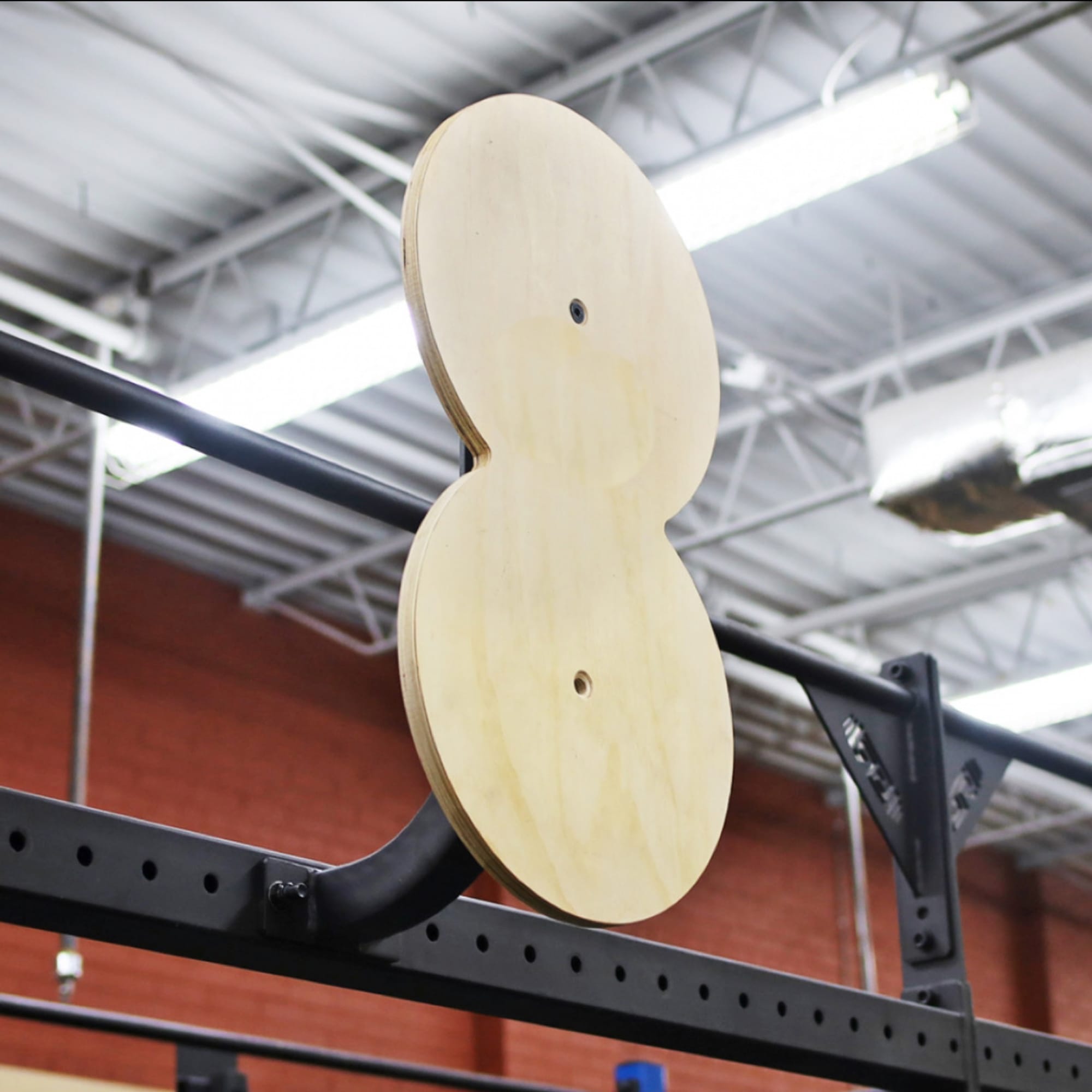 Double Wall Ball Target - SWISS Barbell