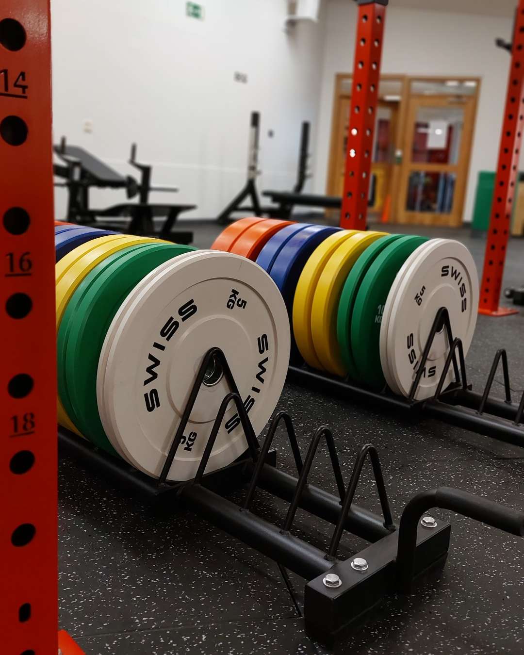 Gallery - SWISS Barbell